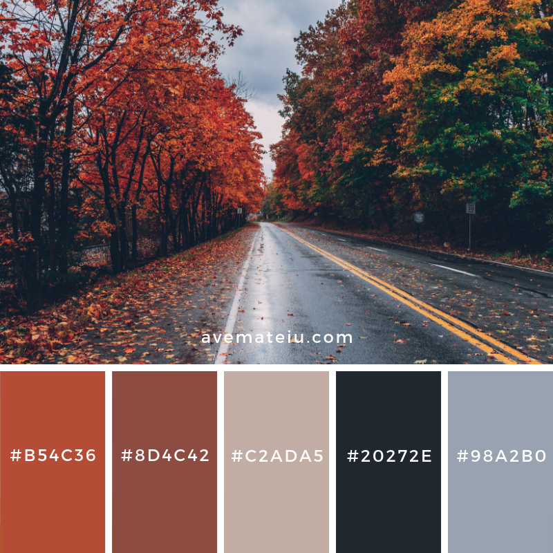 Wide Angle Photo Of Road Color Palette 98 - Ave Mateiu