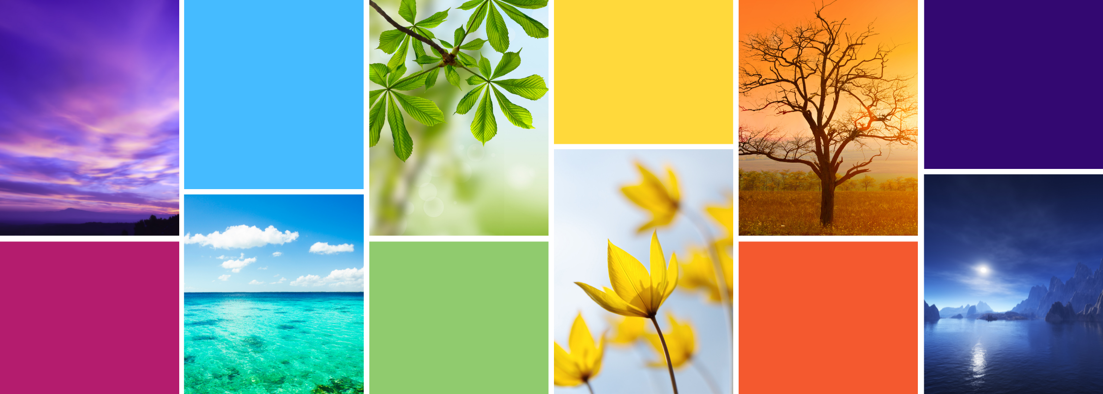 Aspen, United States Color Palette #107 - Ave Mateiu