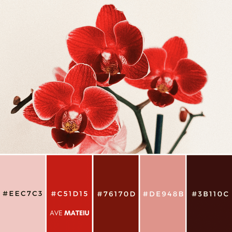 14 Valentine's Day Color Palettes - Orchid Edition - Ave Mateiu